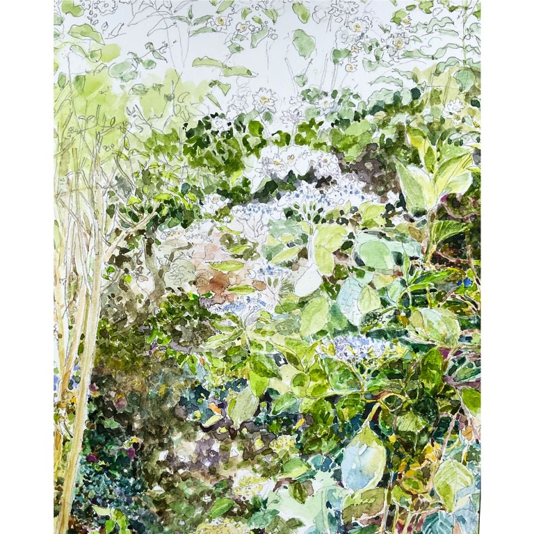 PORTFOLIO | chriswoodartist